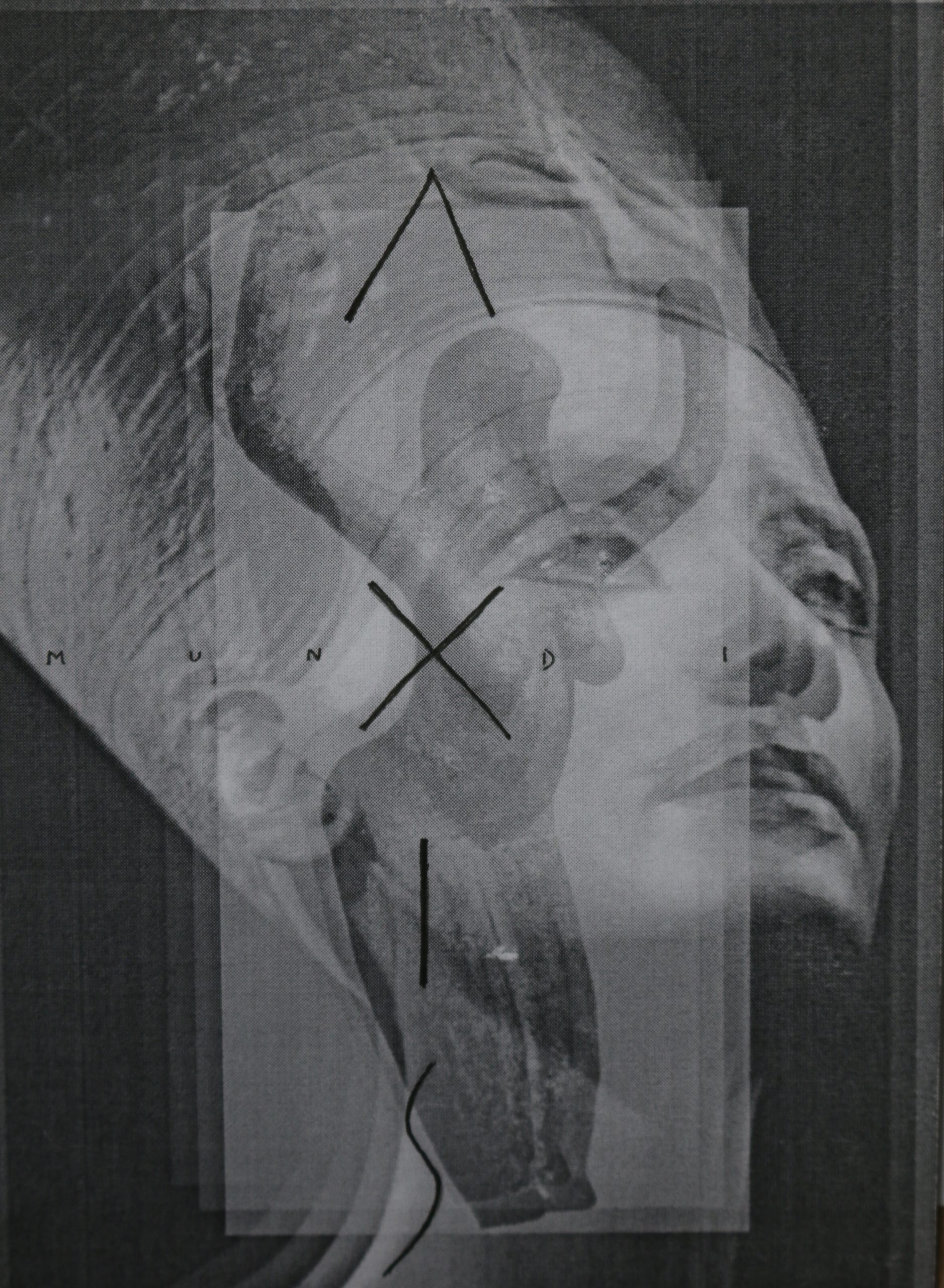 Christ oil secretion and Sacred process of body regeneration - 33 vertebrae