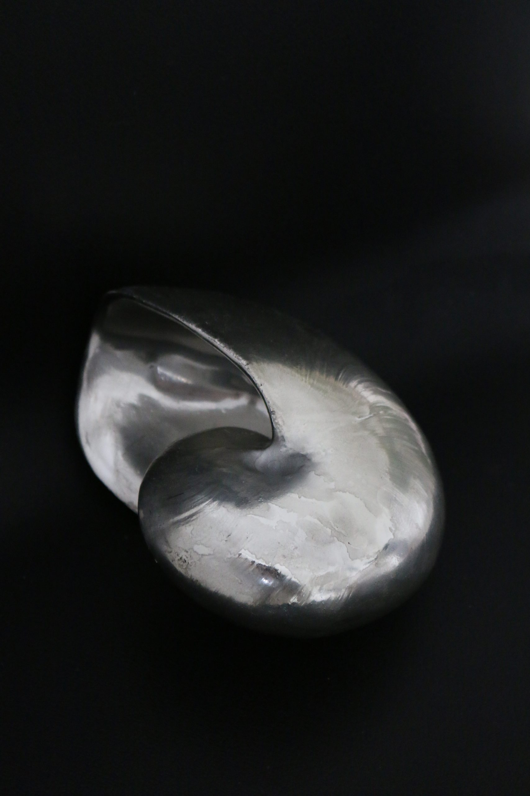 Why is darkness important in polarising the Christ Oil? - 33 vertebrae